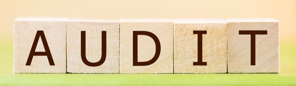 Risk Assessment: A Critical Part of the Audit Process